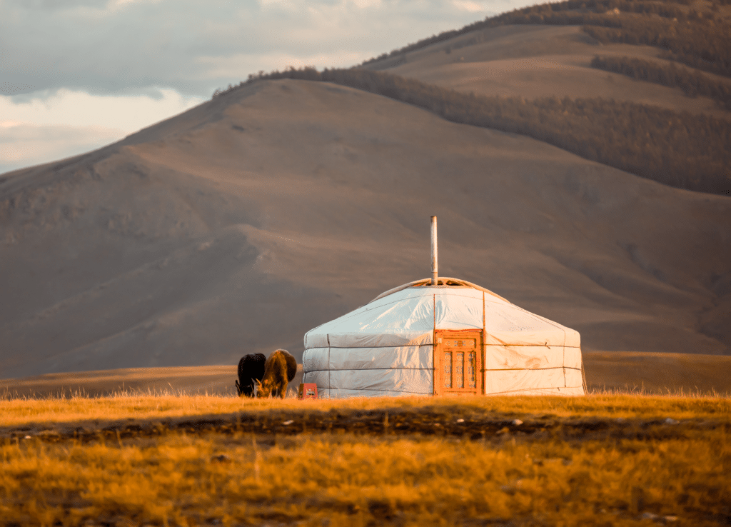 Mongoolse Yurt Kopen | Ger met Fabrieksprijs & Levering